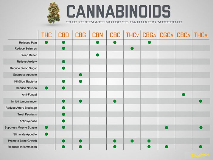 The Guide To Cannabinoids The Guide To Cannabinoids